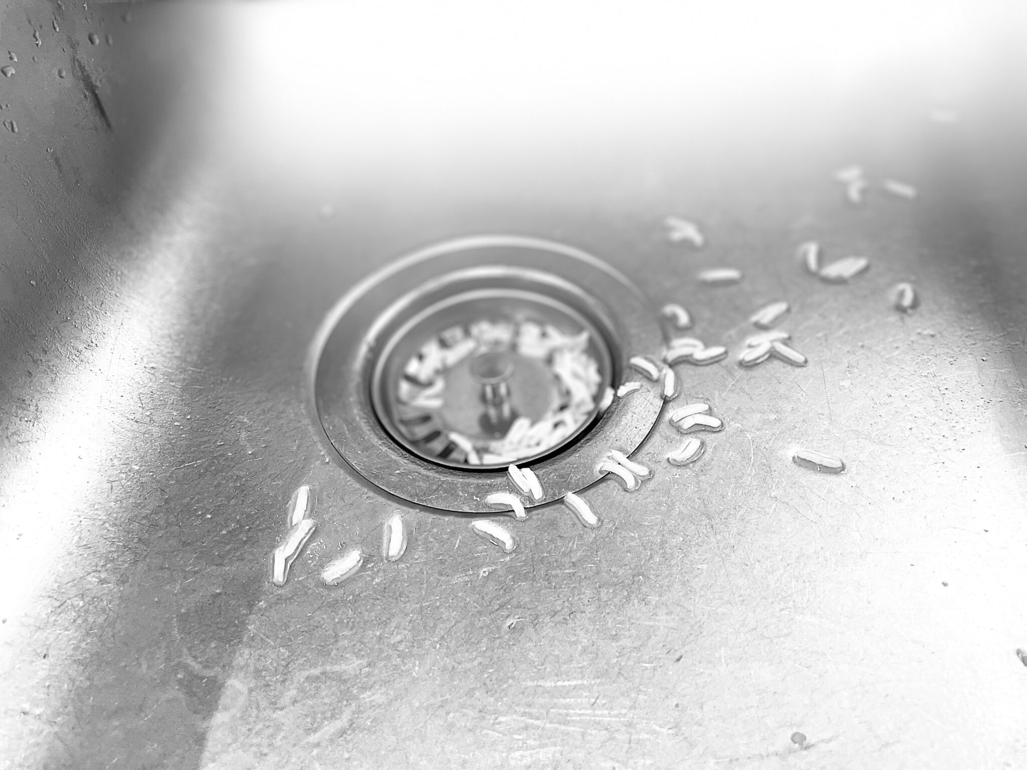 The Importance Rats & Drains - Chase Pest Control